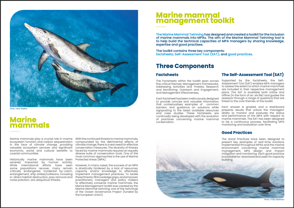 OCEAN GOVERNANCE MARINE MAMMALS – Protecting and restoring marine ...
