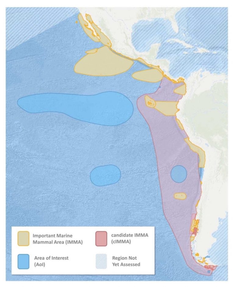 36 New IMMAs Announced for the South East Tropical and Temperate ...