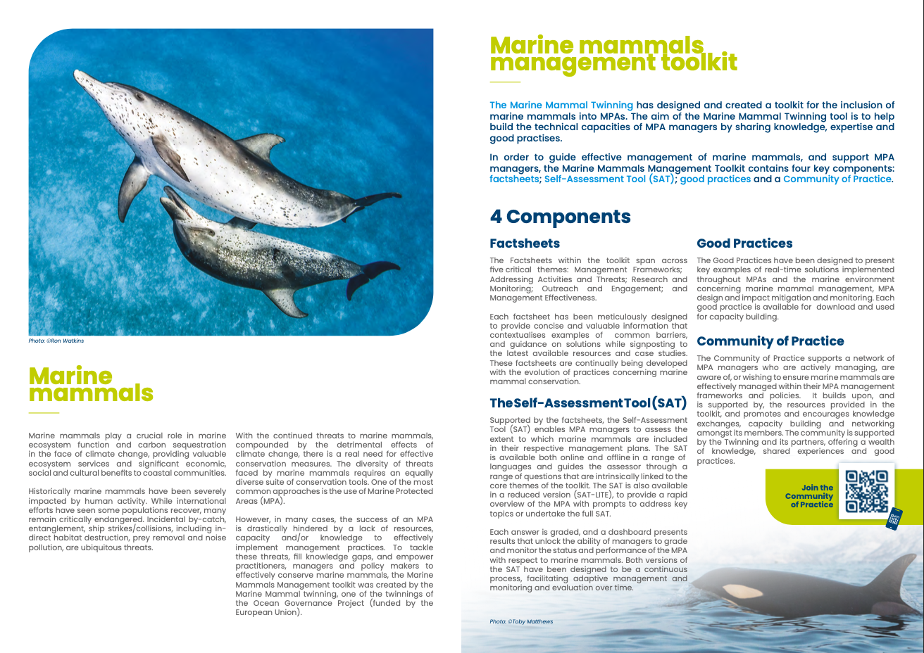 OCEAN GOVERNANCE MARINE MAMMALS