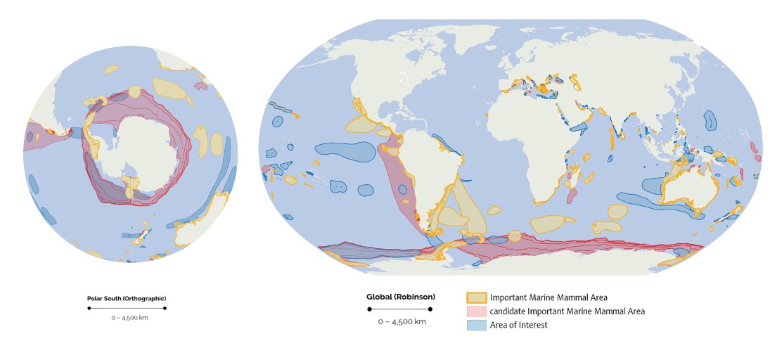 33 New IMMAs Announced – SW Atlantic – OCEAN GOVERNANCE MARINE MAMMALS